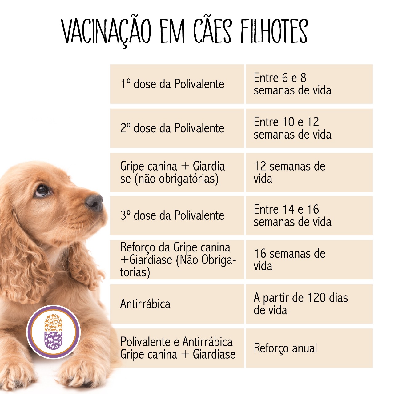 Vacina para seu pet: um ato de amor e cuidados - Animalia